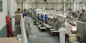 About Us | What We Do | WorkplaceNL