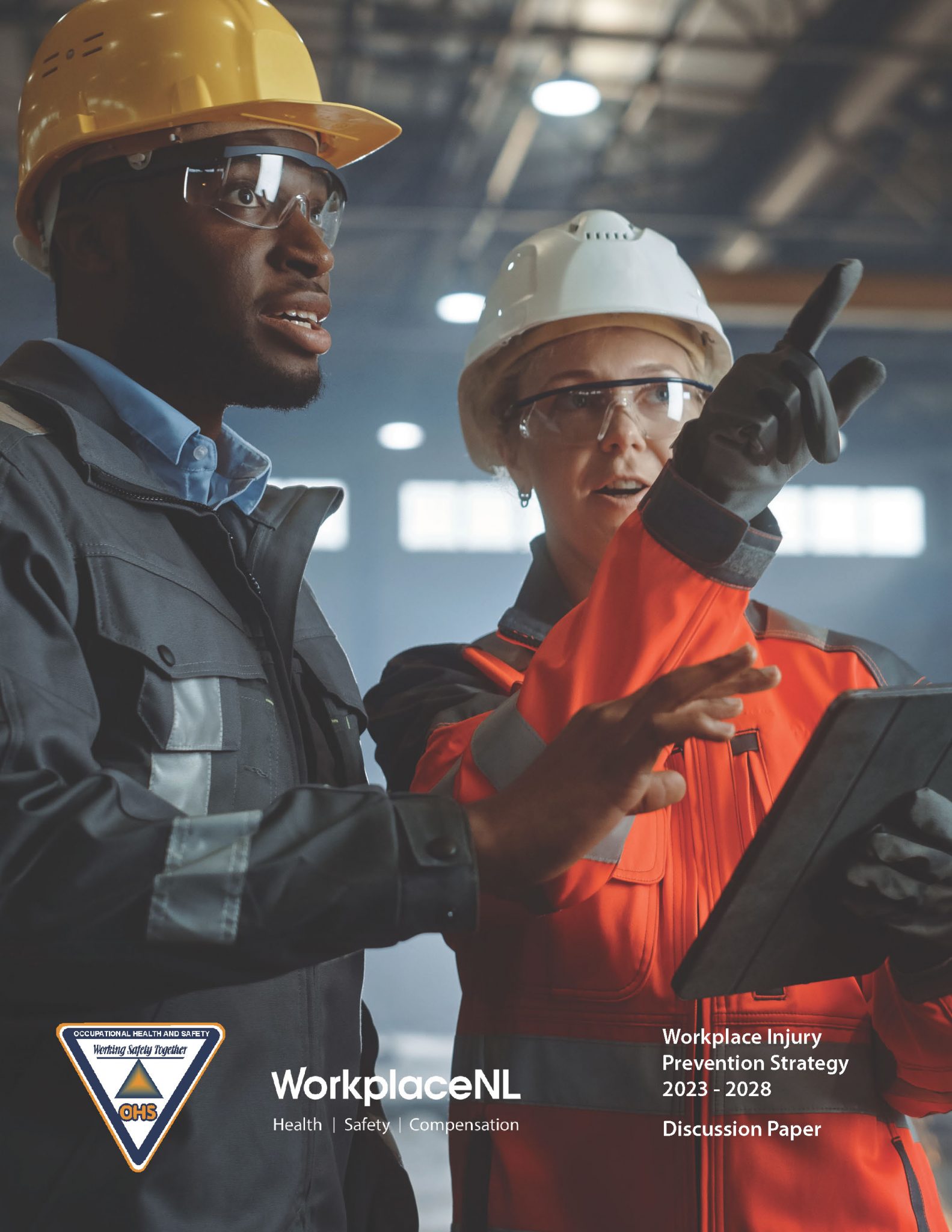 Consultations | WorkplaceNL